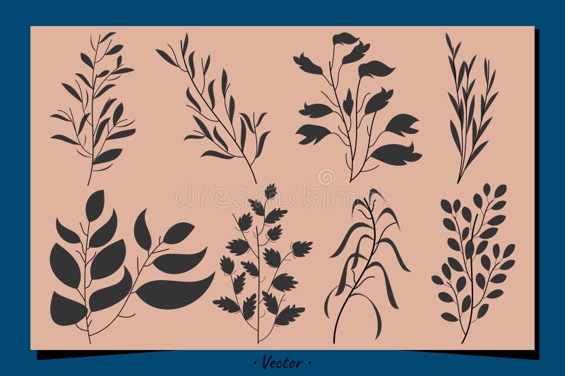 Plant Stem Organic Hand Drawn Elements Doodles Collection for Design ...