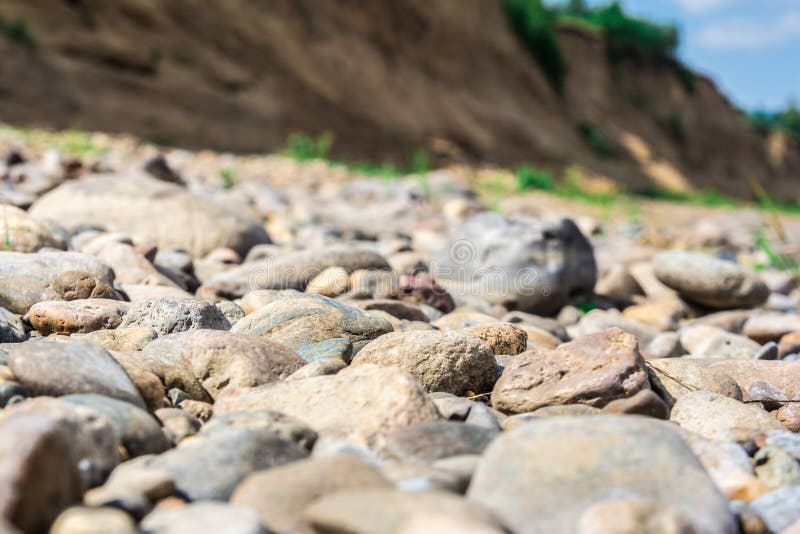 Plant between stones stock image. Image of stones, difficult - 57488291