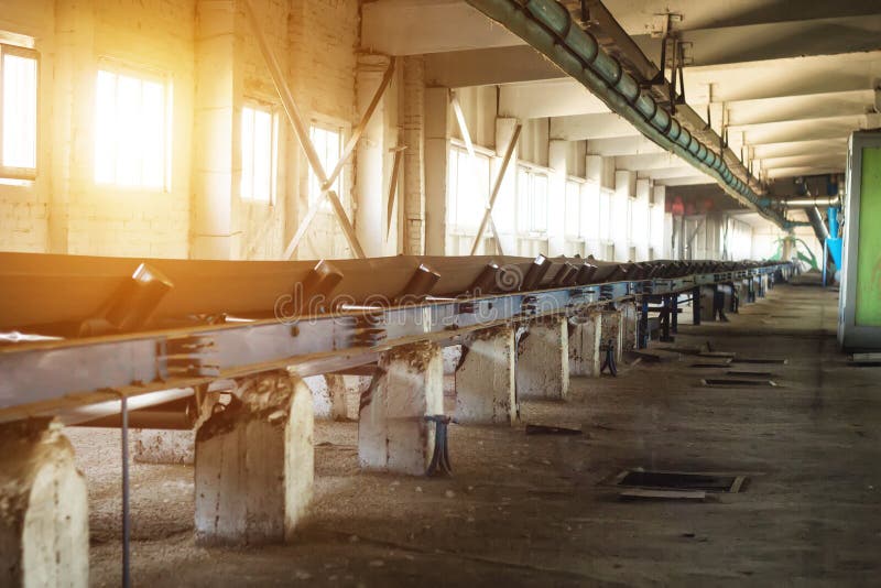 Plant for Storage and Processing of Grain, Grain Moves Along a Conveyor ...