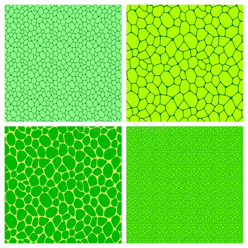 Plant Biology Leaf Patterns Stock Illustrations – 94 Plant Biology Leaf ...