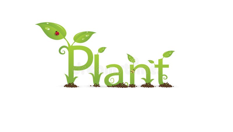 Plant Text Stock Vector Illustration Of Bugs Grass 58058054