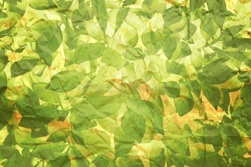 Leaf texture stock image. Image of texture, organic, transparent - 2333821