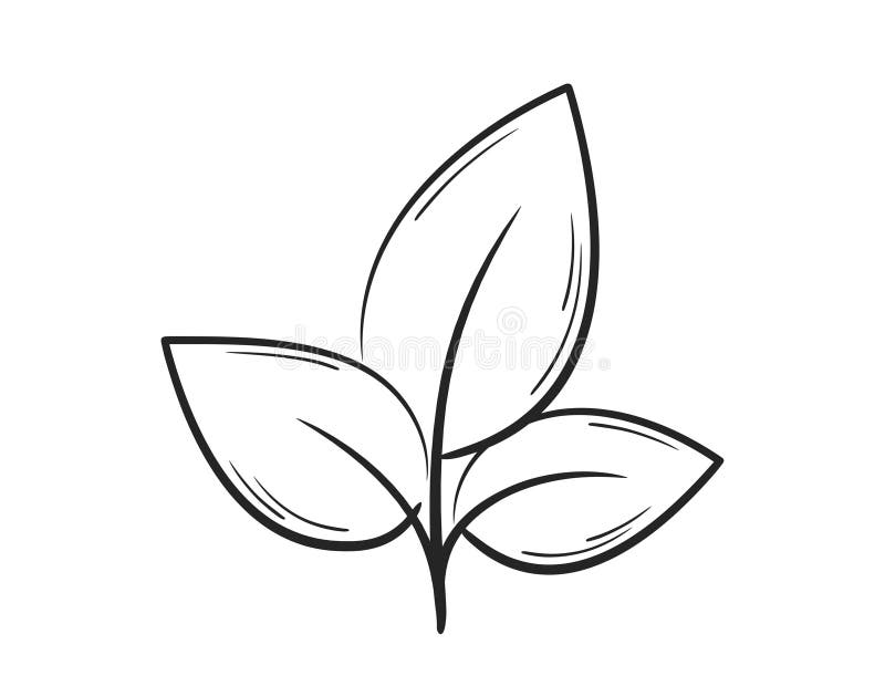 Plant with Three Leaves Line Illustration. Nature, Spring and Planting ...