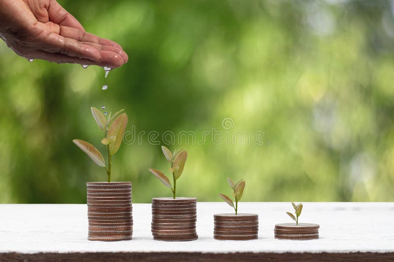 Plant a Tree on a Coin Growth (concept Finance) Stock Image - Image of ...