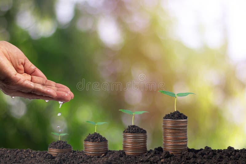 Plant a Tree on a Coin Growth Concept Finance Stock Photo - Image of ...