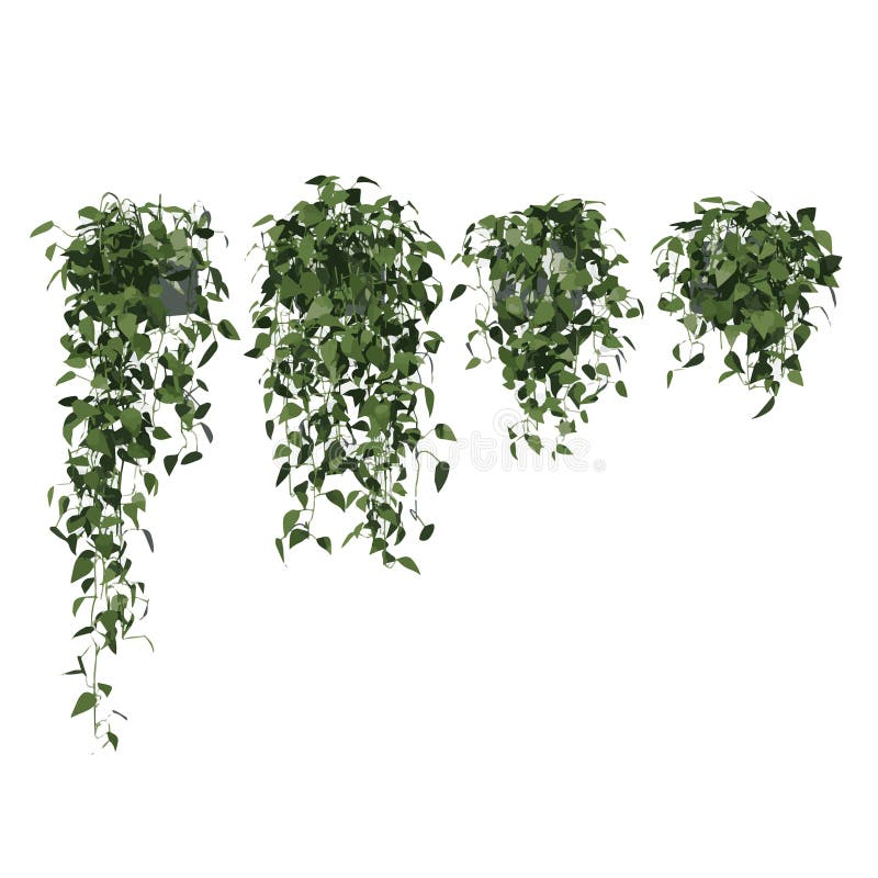 Creepers Plants Stock Illustrations – 539 Creepers Plants Stock ...