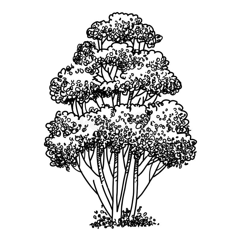 Plant Tree Forest Icon Outline, Hand Drawn Vector. Garden Drawing Stock ...