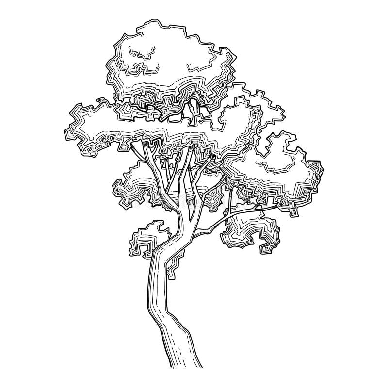 Plant Tree Forest Icon Outline, Hand Drawn Vector. Garden Drawing Stock ...