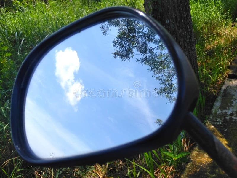 Plant and Tree in the Mirror Stock Image - Image of leaf, wheel: 274613855