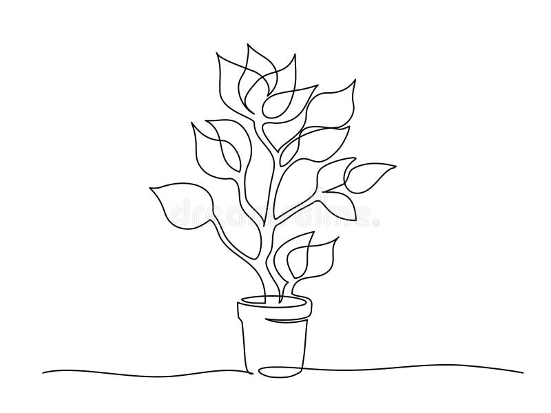Pot Plant One Line Drawing Stock Illustrations – 883 Pot Plant One Line ...