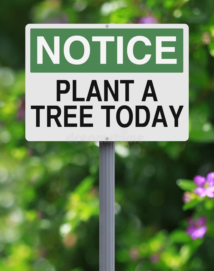 Plant a Tree Today stock photo. Image of today, green - 38430332