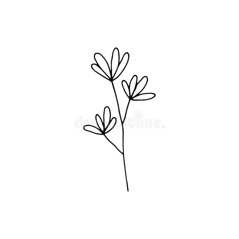 Plant Twig with Leaves Sketch Icon Isolated Stock Vector - Illustration ... Plant Twig with Leaves Sketch Icon Isolated Stock Vector - Illustration ...