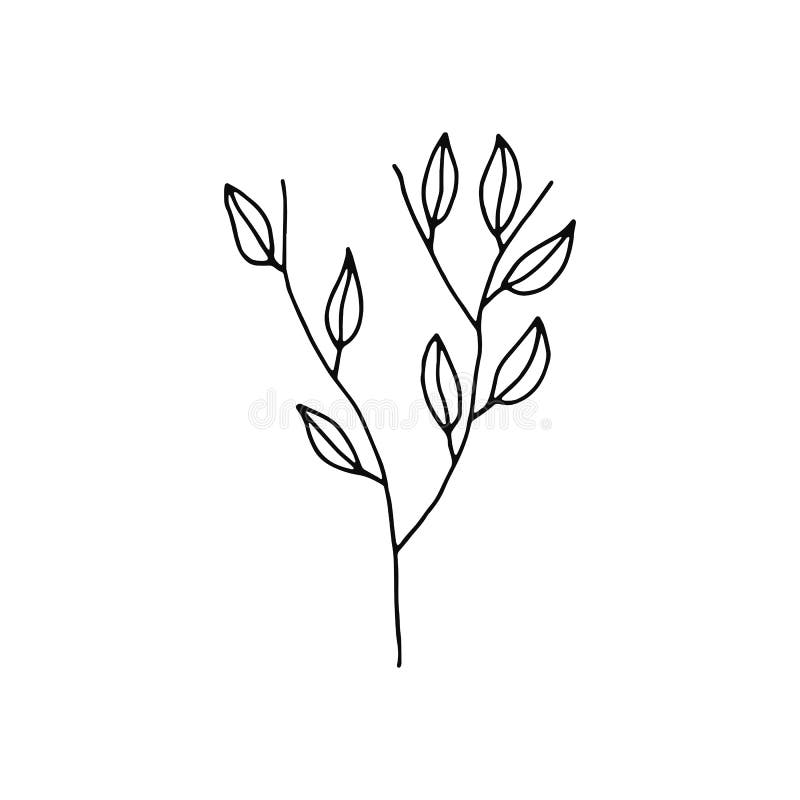 Plant Twig with Leaves Sketch Icon Isolated Stock Vector - Illustration ... Plant Twig with Leaves Sketch Icon Isolated Stock Vector - Illustration ...