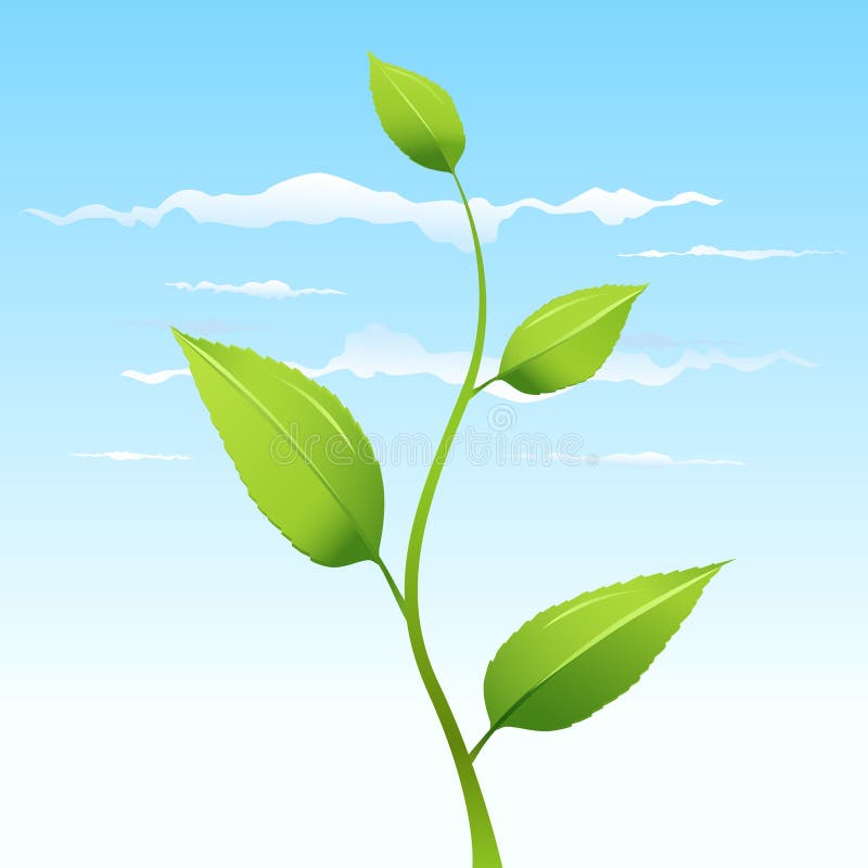 Plant vector stock vector. Illustration of green, design - 18697269