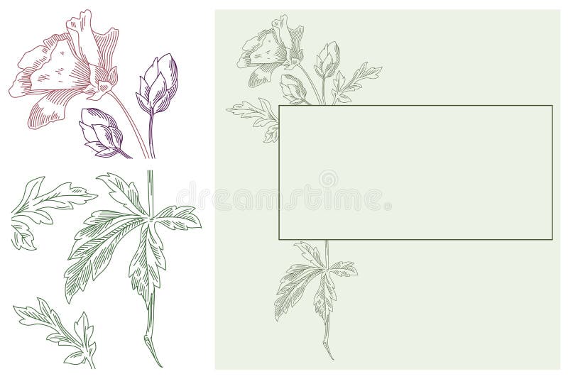 Plant vignette stock vector. Illustration of plant, classical - 80945823