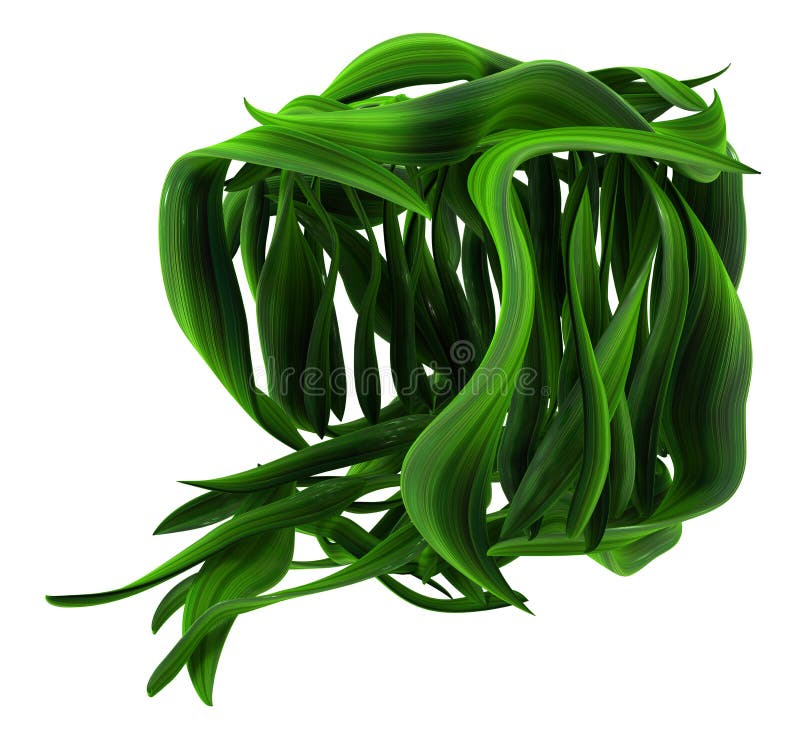 Plant Vines Green, Leaf Box Open Stock Illustration - Illustration of ...