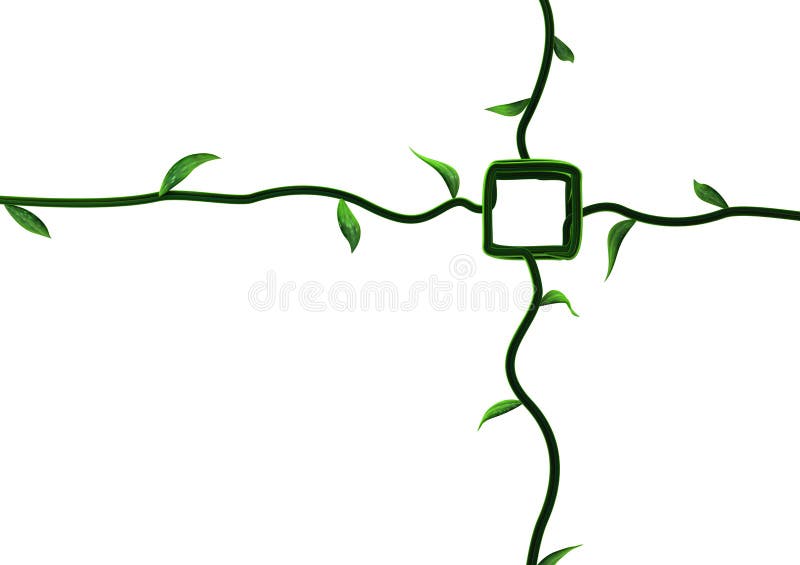 Plant Vines Green, Target Square Stock Illustration - Illustration of ...