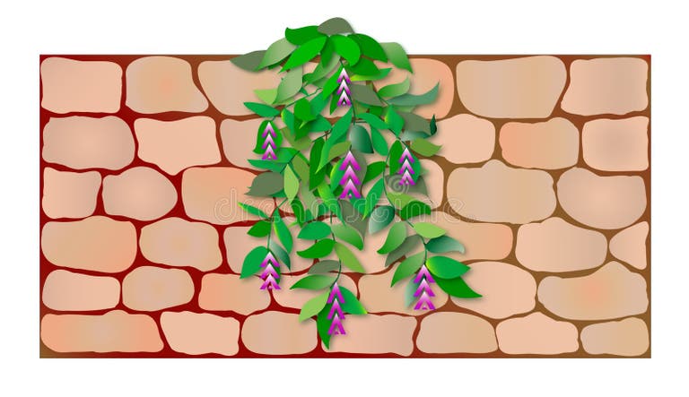 Wall Vegetation Stock Illustrations – 22,306 Wall Vegetation Stock ...