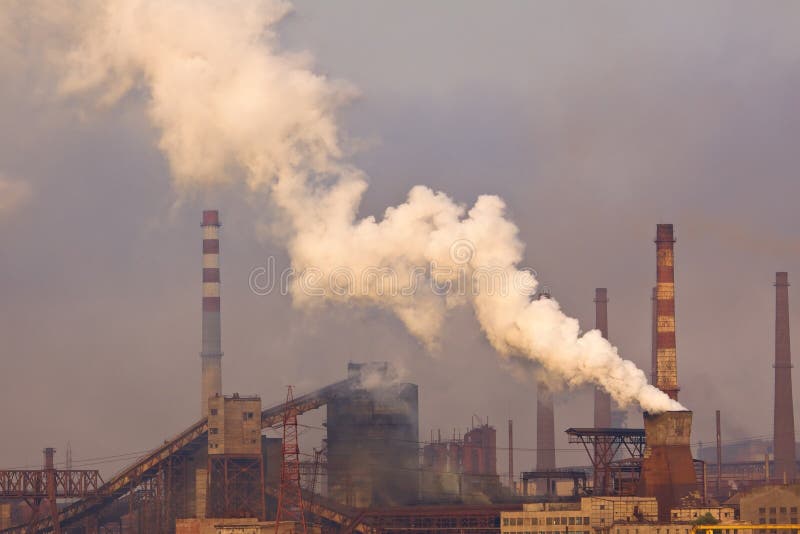 Plant with white smog stock image. Image of color, large - 10800849
