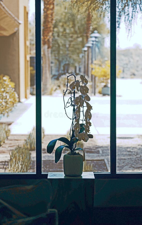 John Joulakian (Italymodena) - Photographer profile