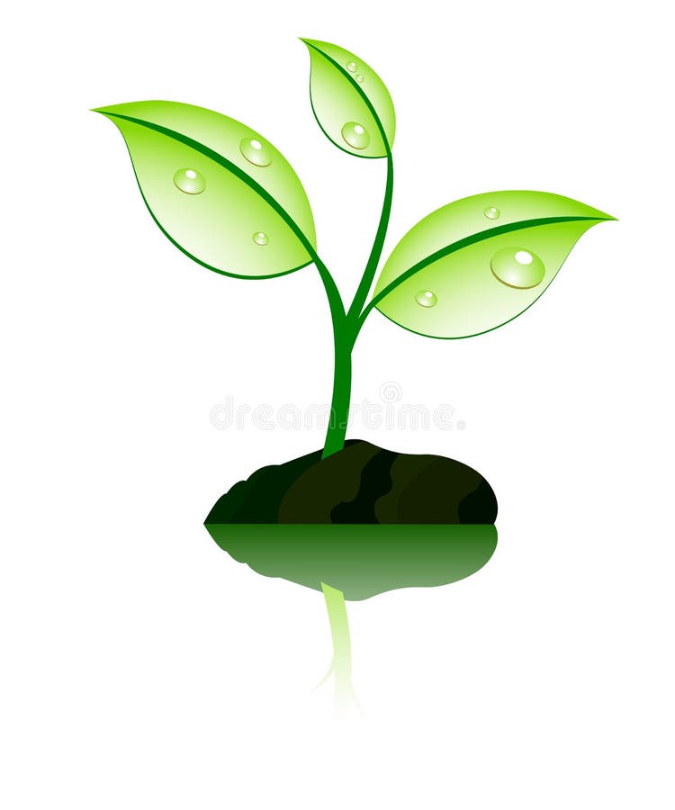 Planta del vector ilustración del vector. Ilustración de enganche ...