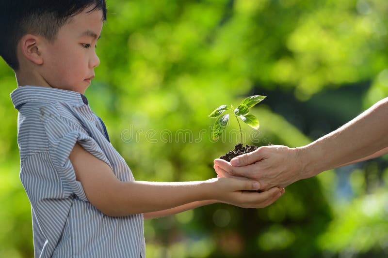 Planta nova imagem de stock. Imagem de terra, crescimento - 93111857