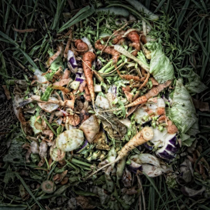 Plantaardig Afval stock foto. Image of verduister, donker - 31495628
