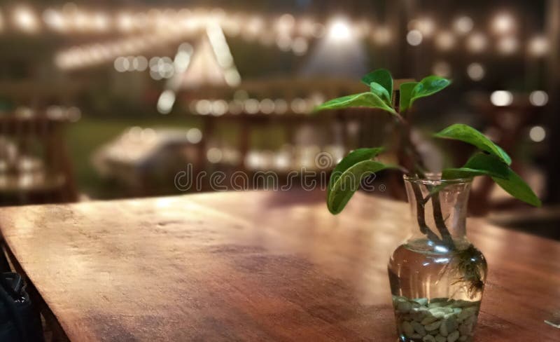 Plantae in jar stock image. Image of leaf, food, plantae - 262065573