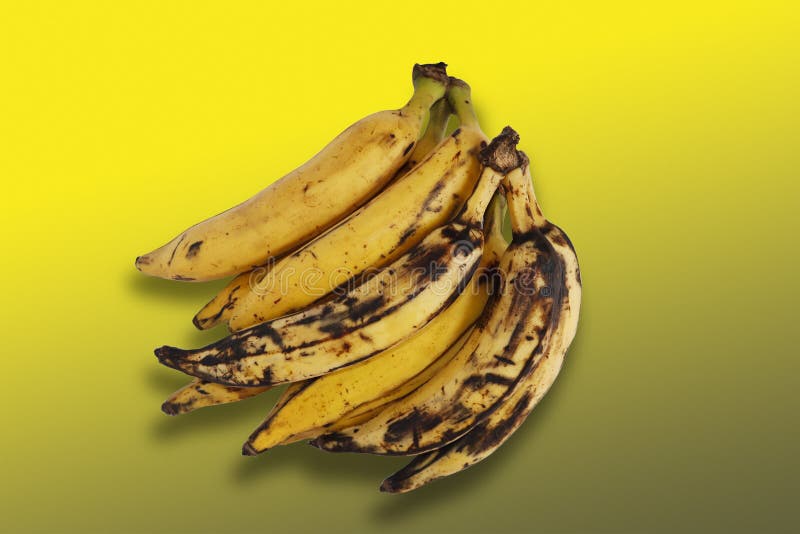 Kerala Ethapazham or Plantain Banana in the Basket.Also Known As ...