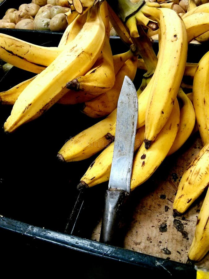 Plantain stock photo. Image of yellow, fruit, healthy - 51627986