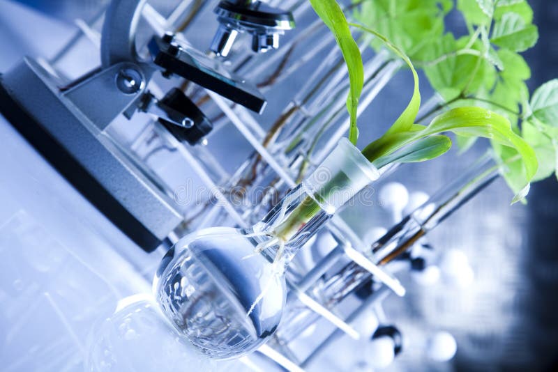 Plantas e laboratório imagem de stock. Imagem de farmacêutico - 15997575