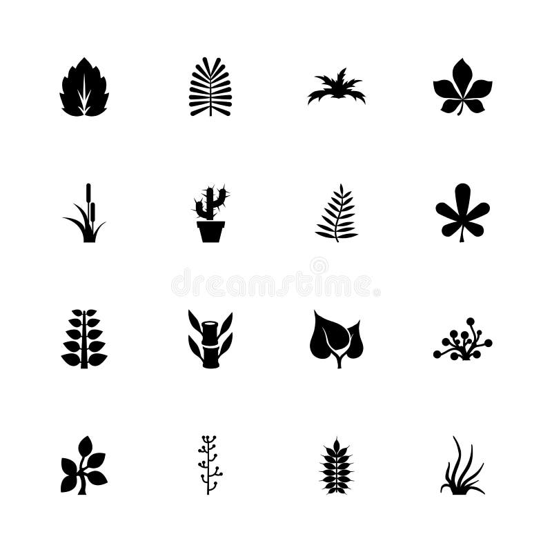 Plantas - Iconos Planos Del Vector Ilustración del Vector - Ilustración ...