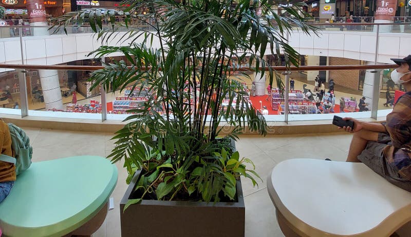 Plantas Ornamentais No Shopping Foto de Stock Editorial - Imagem de ...