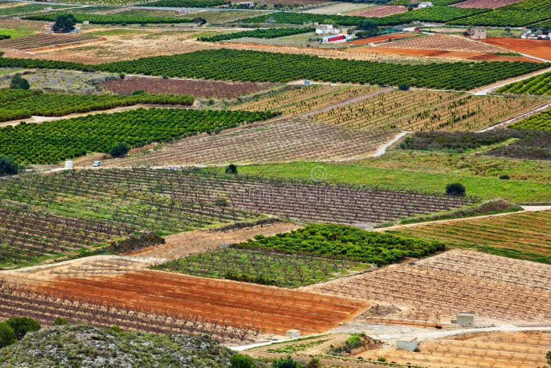 Plantation D'arbres Fruitiers Photo stock - Image du brun, industrie ... Plantation D'arbres Fruitiers Photo stock - Image du brun, industrie ...