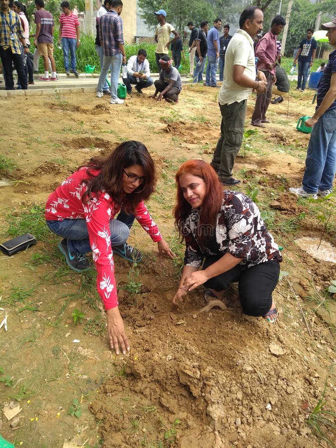 Plantation Drive by Community Editorial Photography - Image of people ...