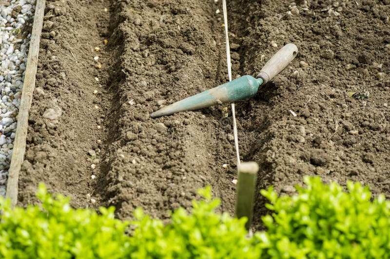Plantation Garden-Tools stock image. Image of dirty, natural - 31062101