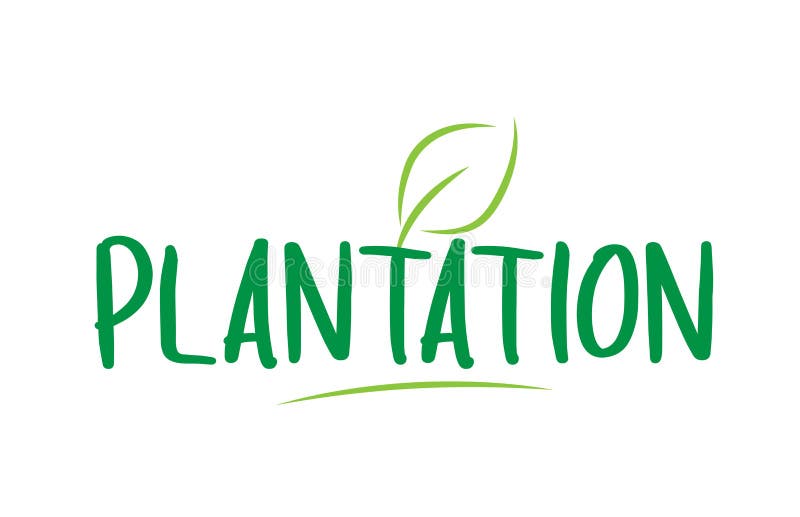 Plantation 3d Word with a Green Leaf and Pink Color Logo Stock Vector ...