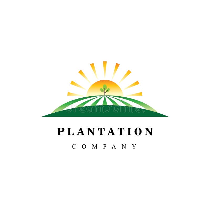 Plantation Logo Illustration Sunset Nature Company Design Vector Stock ...