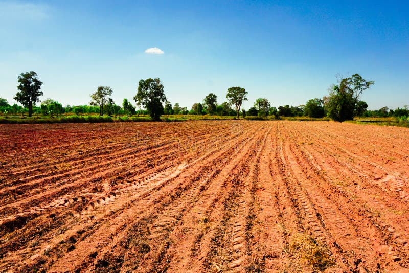 The plantation stock photo. Image of tiller, tilled, soil - 83728162