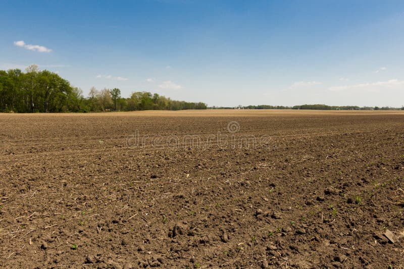 Planted field stock photo. Image of farm, midwest, planted - 41243714