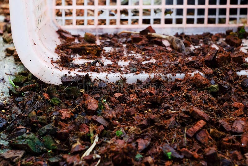 Planted Soil Spilled of Basket Stock Image - Image of basket, ground ...
