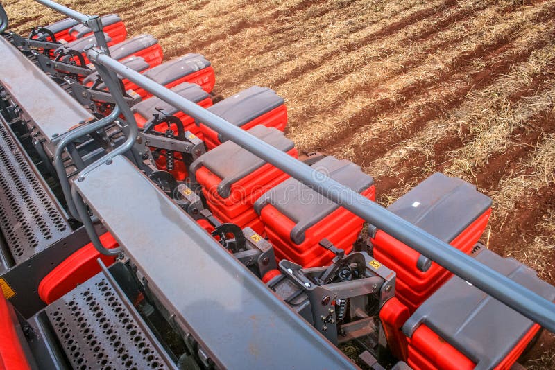 Soybean straw in field stock image. Image of grain, seed - 127533375
