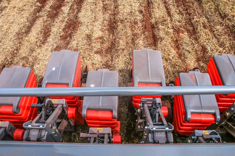 Soybean straw in field stock image. Image of grain, seed - 127533375