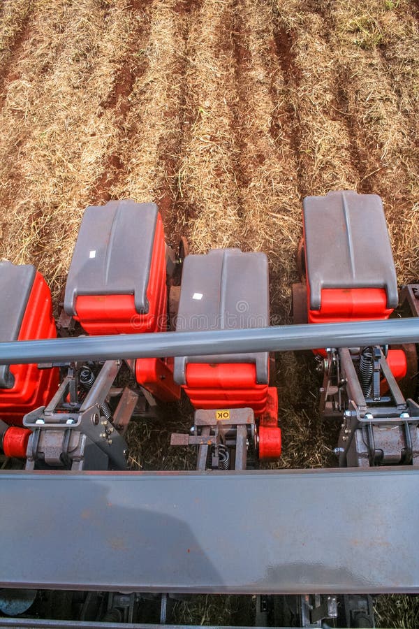 Bean Planter stock image. Image of seed, bark, home, corn - 21904773