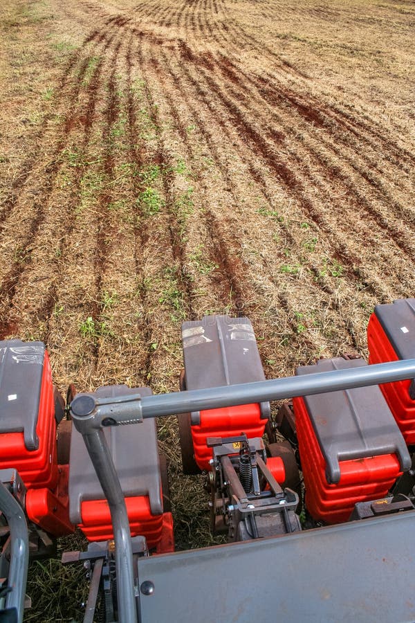 Bean Planter stock image. Image of seed, bark, home, corn - 21904773