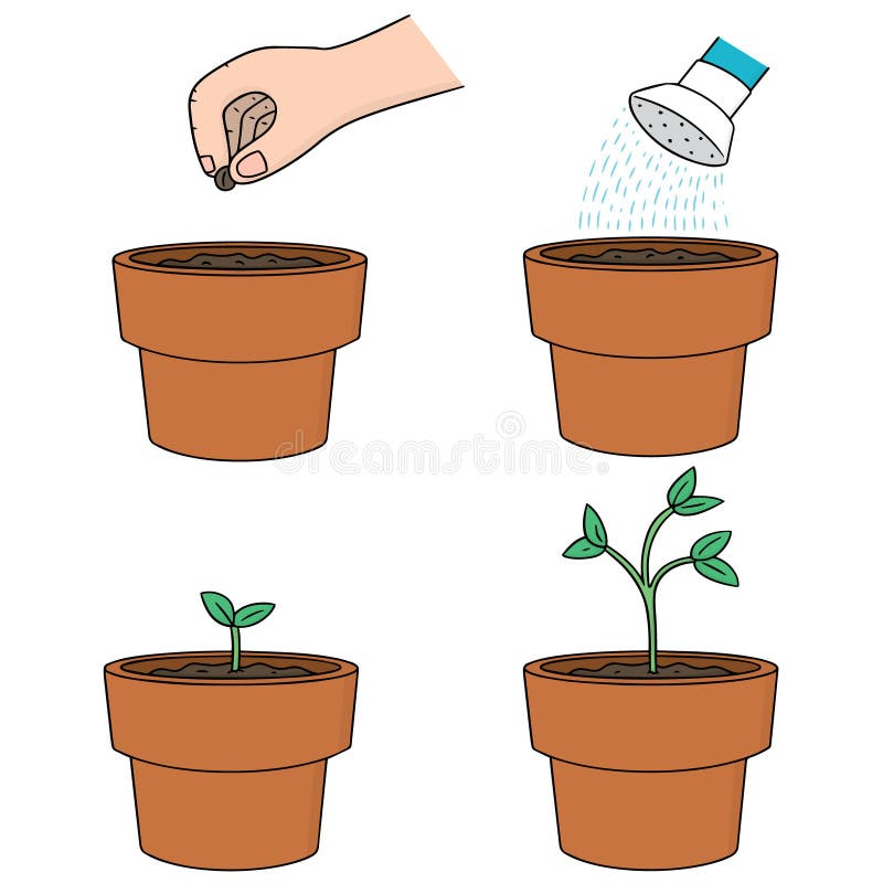 Plantera Vektorn För Tecken För Trädprocesstecknad Film Vektor ...