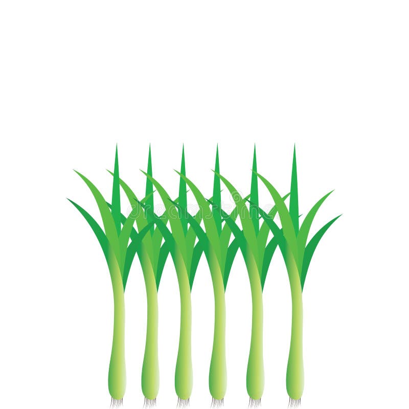 Plantilla De Icono De Hoja Vegetal Ilustración del Vector - Ilustración ... Plantilla De Icono De Hoja Vegetal Ilustración del Vector - Ilustración ...