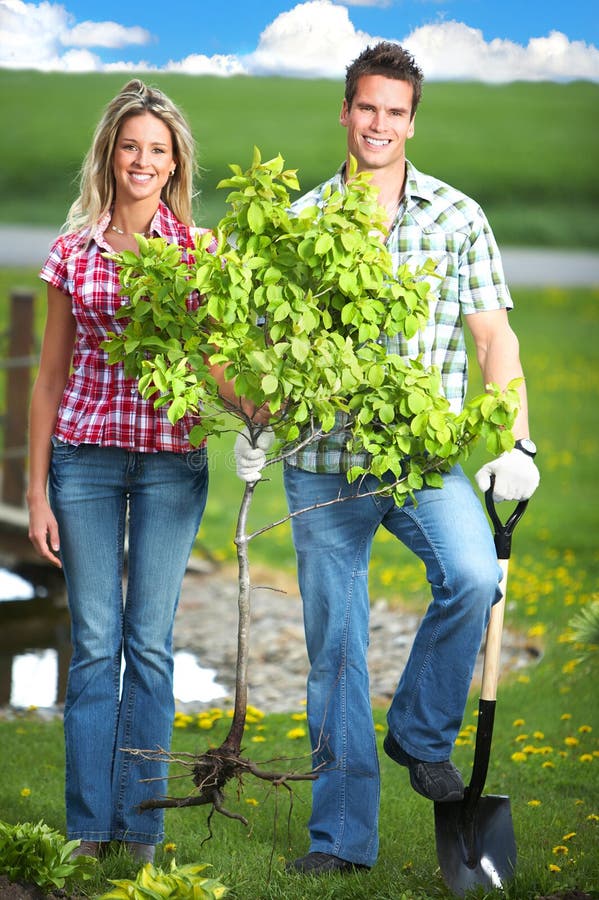 Couple Planting Plant in Garden Stock Image - Image of hobby, people ...