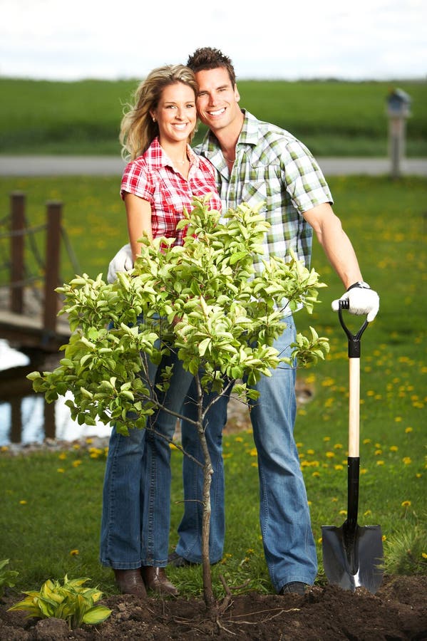 Couple planting a tree stock photo. Image of female, botany - 8514790