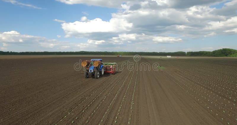 Planting Cabbage Seedlings Using a Combine Stock Video - Video of field ...
